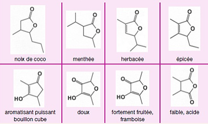 Tout savoir sur les molécule odorante :: Le-parfum-de-la-science2